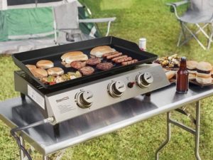 15 Hot Plate Recipes For Delicious Meal You Can Prepare At Home