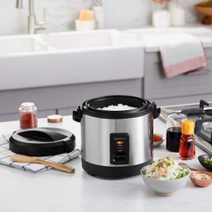 4 Best 2 Cup Rice Cookers To Buy In 2022 Reviewed By Experts