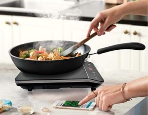 Best 12 Induction Hot Plates In 2022 - KitchenToast