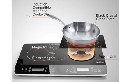 Best 12 Induction Hot Plates In 2022 - KitchenToast