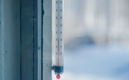 How Long Can Tuna Sit Out - KitchenToast