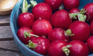 Can You Freeze Radish - KitchenToast